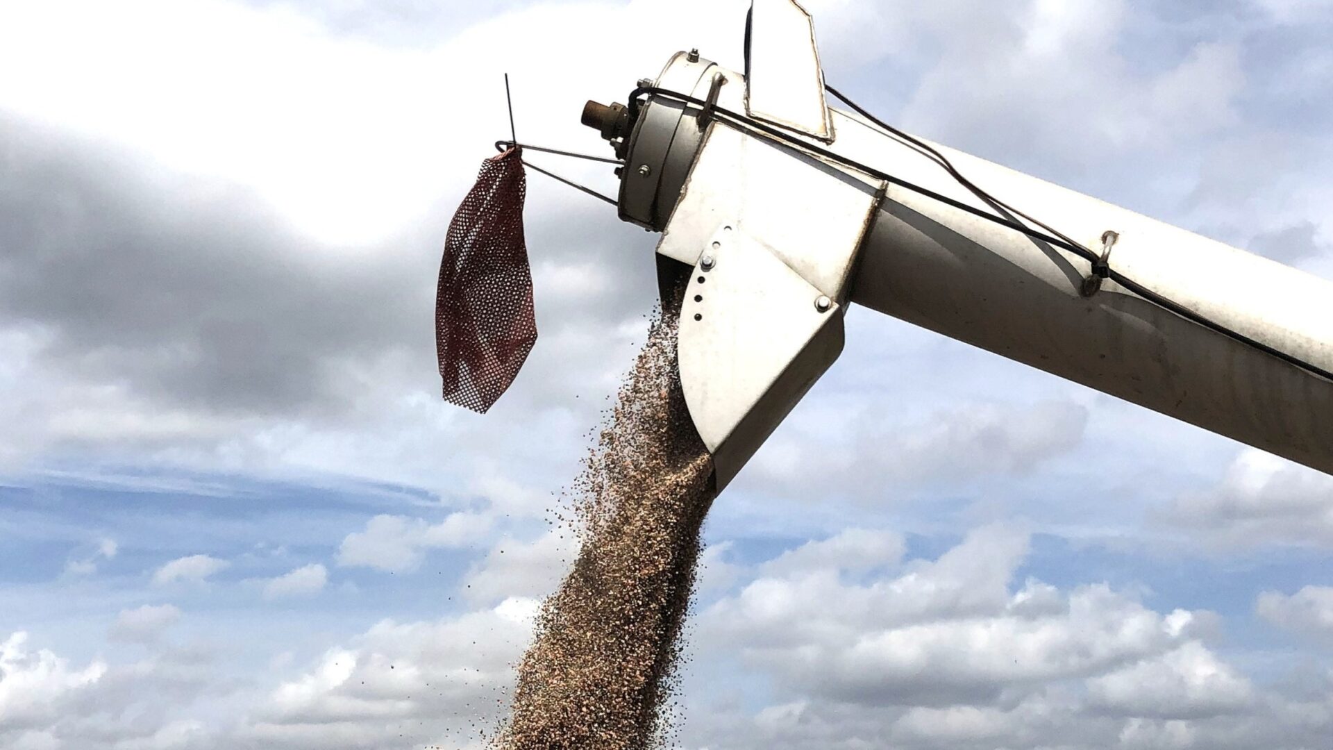 "Transforming Your World with Premium Sod and Exceptional Service ...